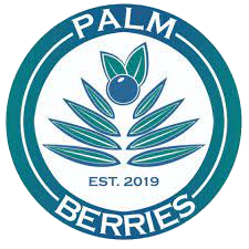 Menu for Palm Berries in Mooresville, NC | Sirved