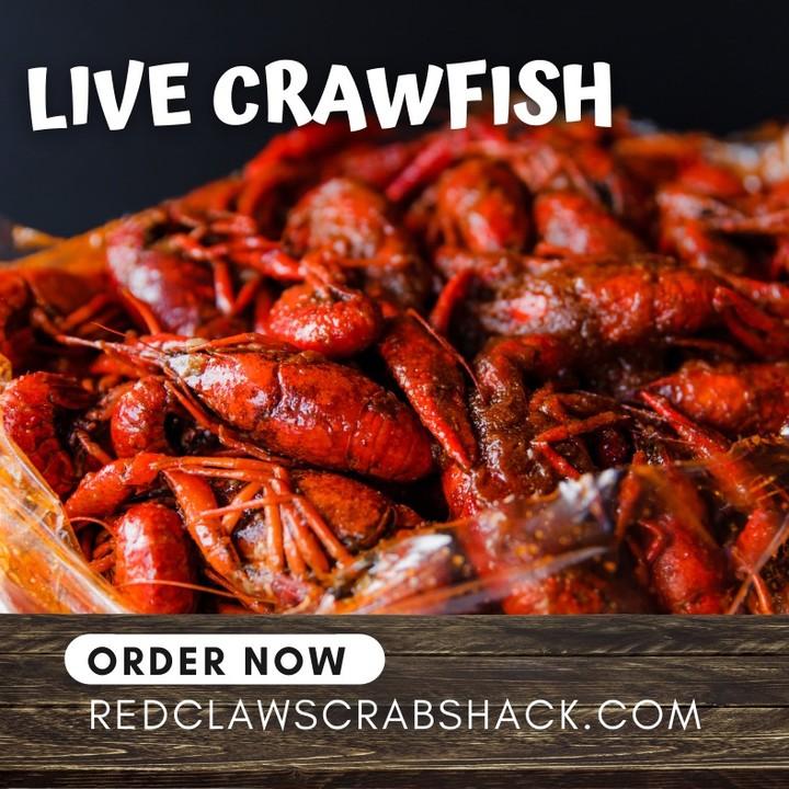 Red Claws Crab Shack menu in Dallas, Texas, USA