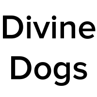 Menu for Divine Dogs in The Woodlands, TX | Sirved
