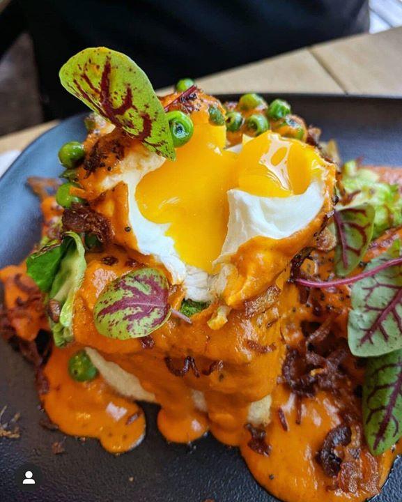 India Rosa menus in Montréal, Quebec, Canada