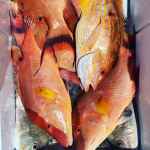 Mystic Fish menu in Palm Harbor, Florida, USA