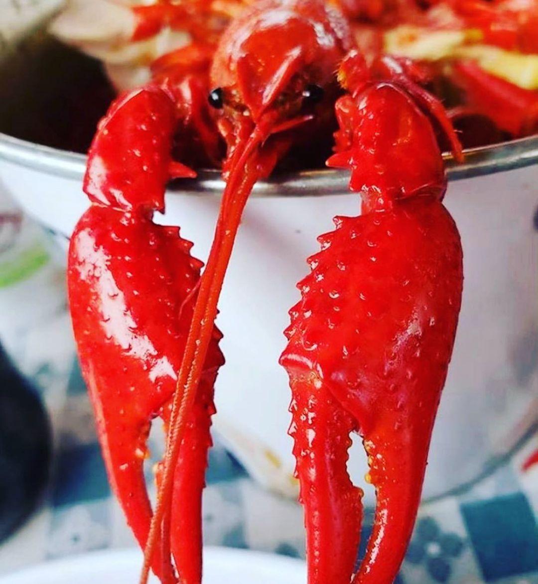 Champy's Famous Fried Chicken menu in Muscle Shoals, Alabama, USA