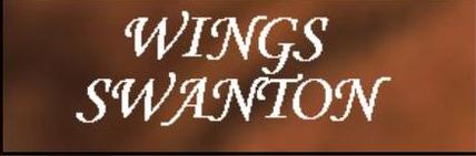 Menu for The Wings Station in Swanton, OH | Sirved