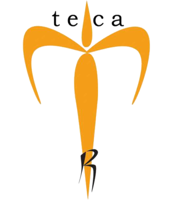 Menu for Teca Restaurant and Bar in West Chester, PA | Sirved