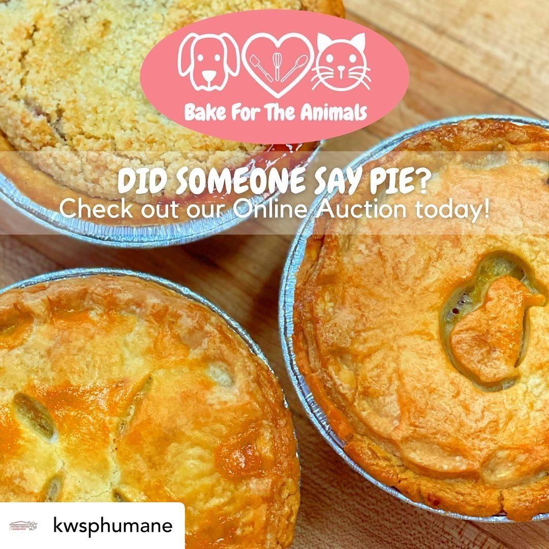 Sweet & Savoury Pie Company menu in Waterloo, Ontario, Canada