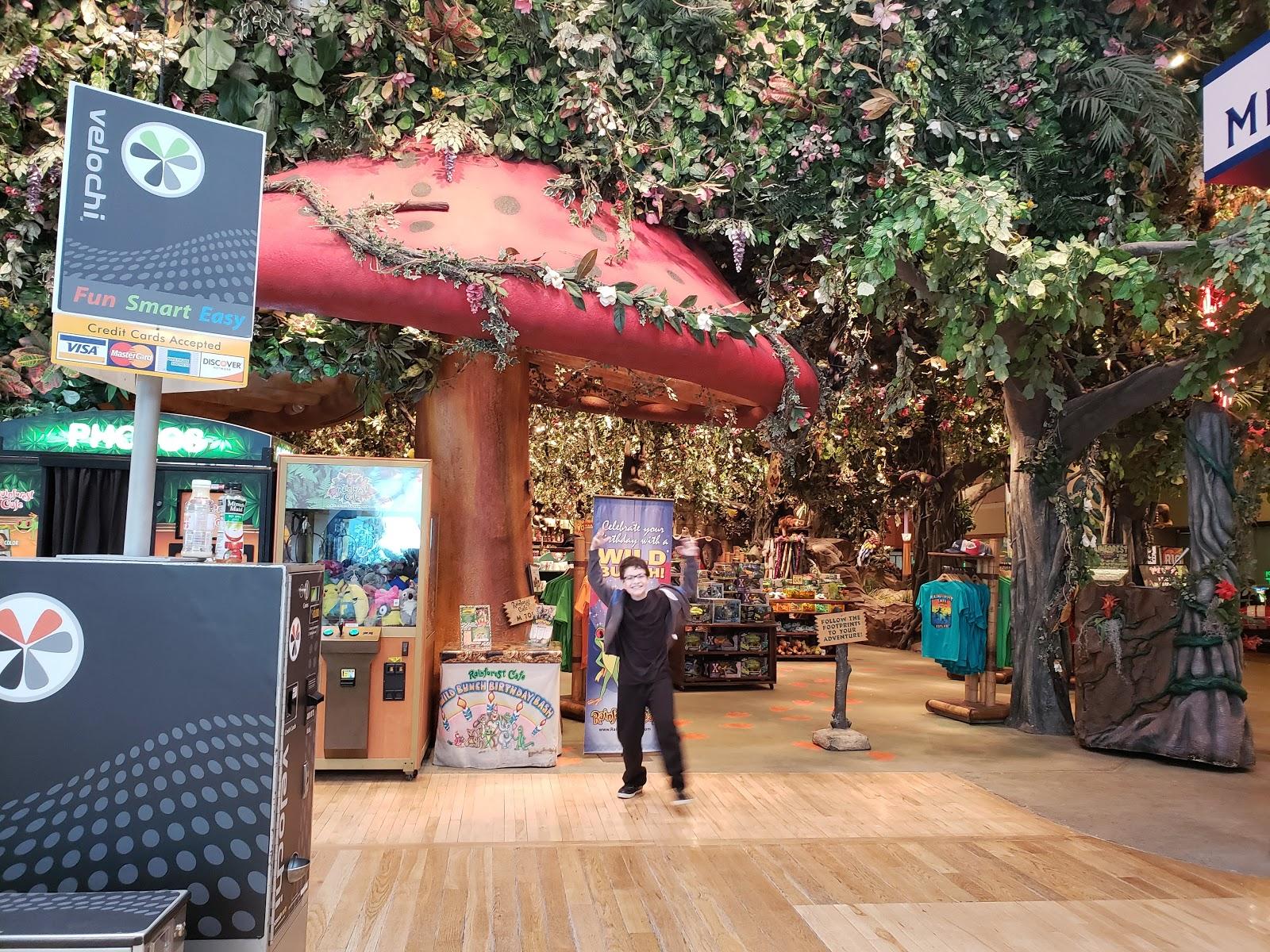 Rainforest Cafe menu in Edison, New Jersey, USA
