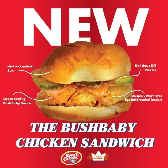 Bush's Chicken menu in Lorena, Texas, USA