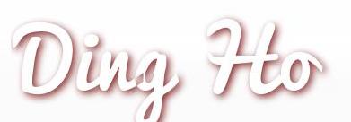 Menu for Ding-Ho Chinese Food in Toronto, ON | Sirved