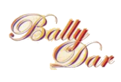 Menu for Bally Dar in Mine Hill Township, NJ | Sirved