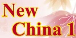 Menu for New China One in Detroit, MI | Sirved