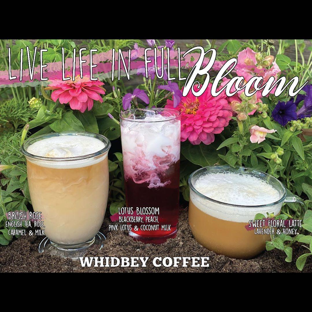 Whidbey Coffee menu in Oak Harbor, Washington, USA