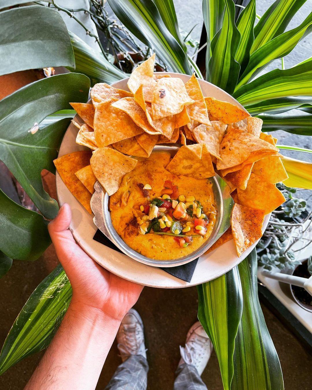 Seva Ann Arbor menu in Ann Arbor, Michigan, USA