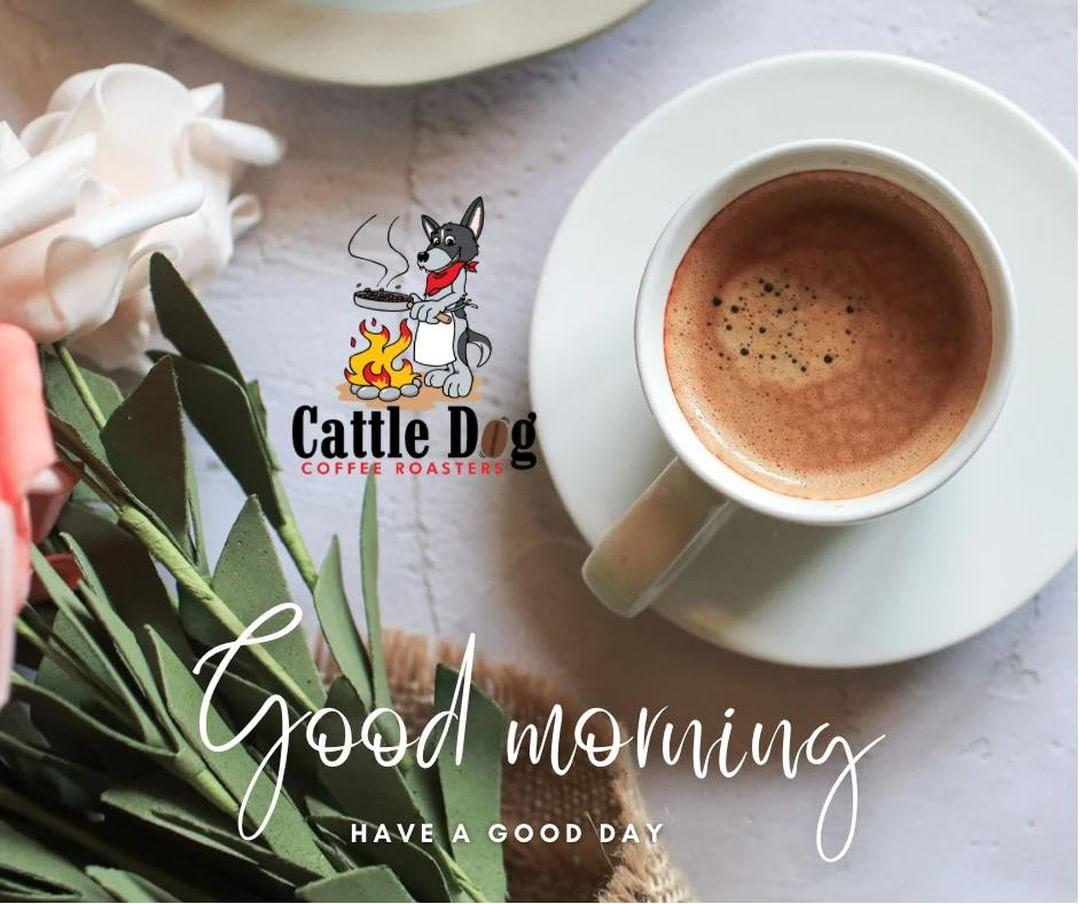 Cattle Dog Coffee Roasters menu in Hernando, Florida, USA