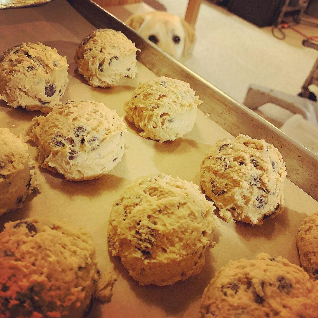 Tokeland Hotel menu in Tokeland, Washington, USA