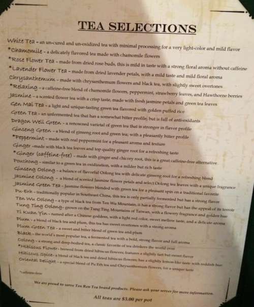 Liquid Ginger menu in Gainesville, Florida, USA