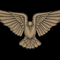 Menu for Provision in Castle Rock, CO | Sirved