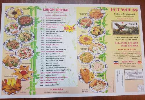 Hot Wok 88 menu in Wesley Chapel, Florida, USA
