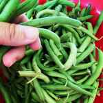 Rustic Roots menu in Bunn, North Carolina, USA