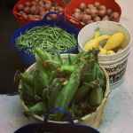 Rustic Roots menu in Bunn, North Carolina, USA