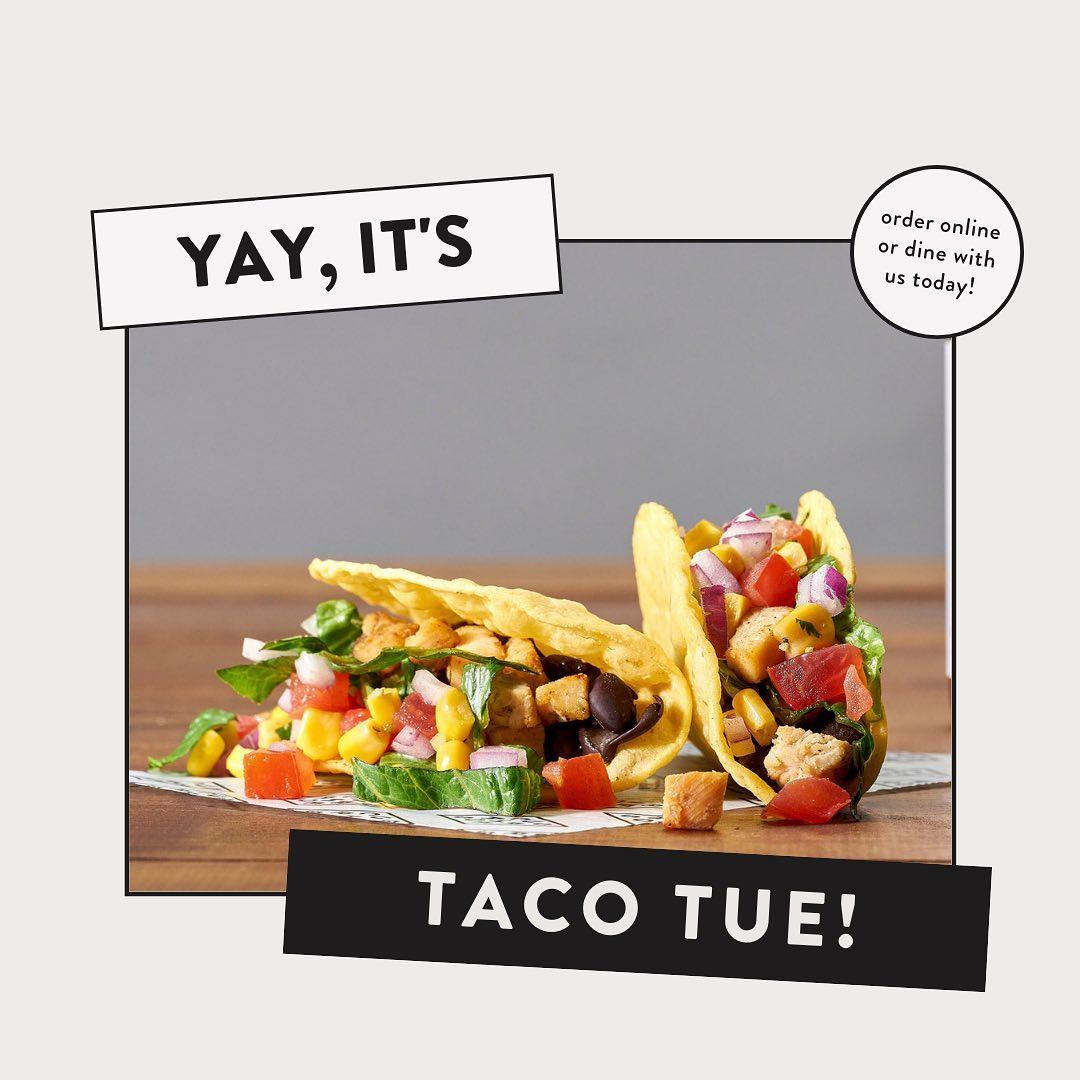 Surcheros Fresh Mex menus in Valdosta, Georgia, United States