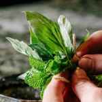 Platform 18 at Century Grand menu in Phoenix, Arizona, USA