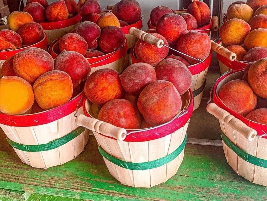 Peach Park menu in Clanton, Alabama, USA