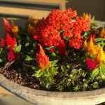 Java Cafe menu in Wauchula, Florida, USA