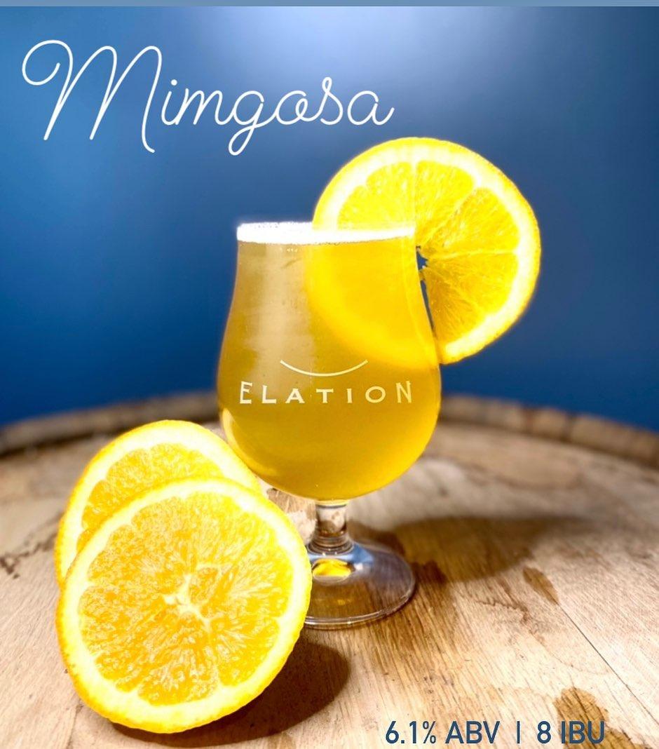 Elation Brewing menu in Norfolk, Virginia, USA