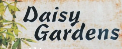 Menu for Daisy Gardens in Warroad, MN | Sirved
