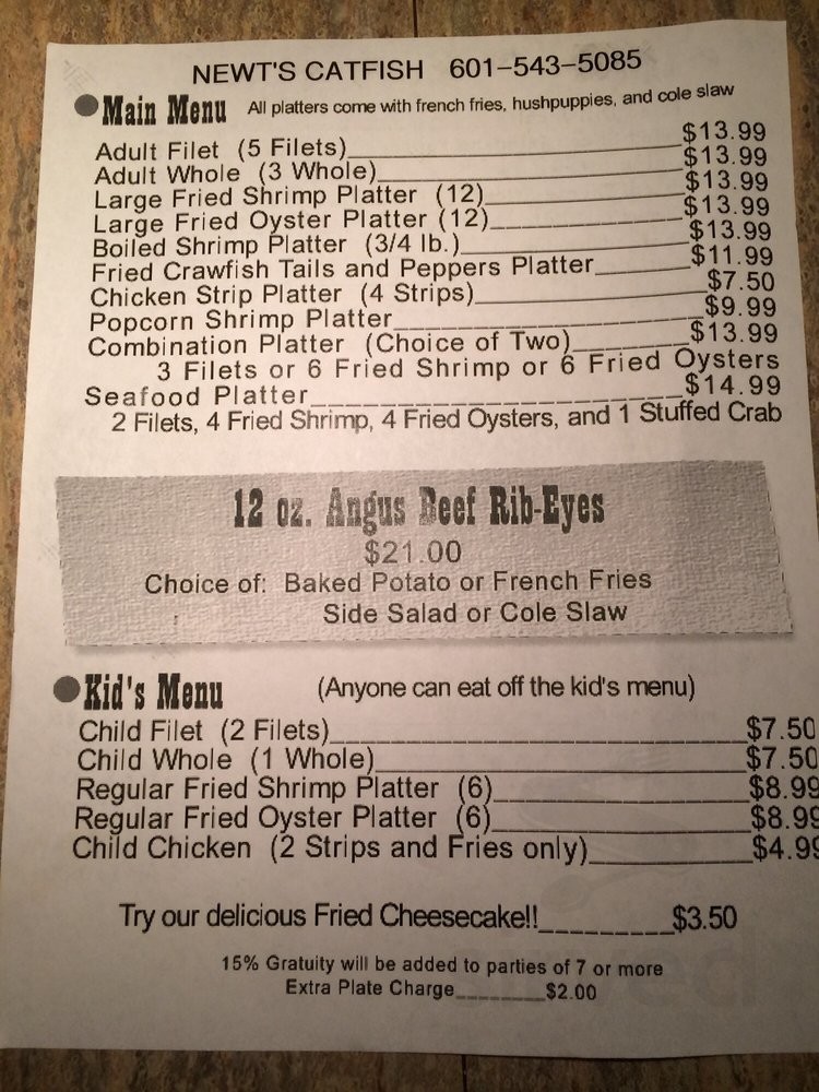 Newt's Catfish menu in Hattiesburg, Mississippi, USA