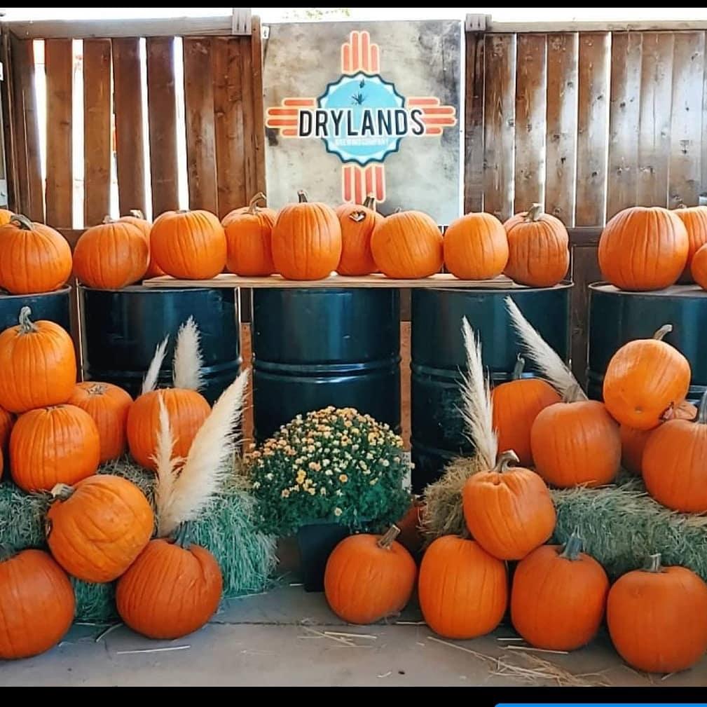 Drylands Brewing Company menu in Lovington, New Mexico, USA