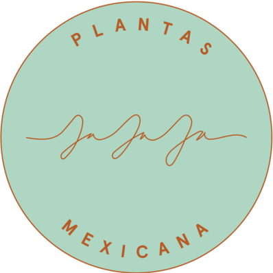 Menu for Jajaja Mexicana in New York, NY | Sirved