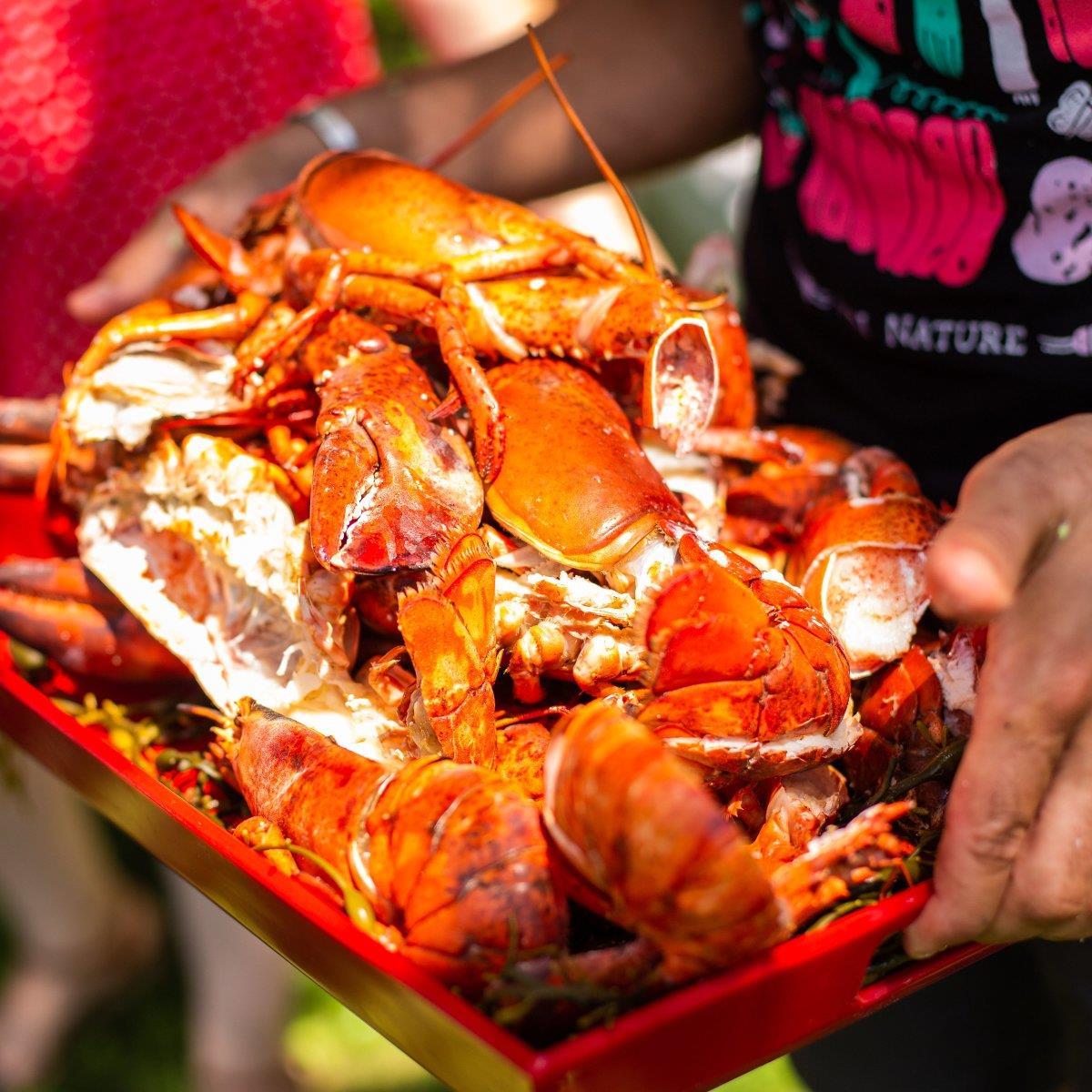 Oleana menus in Cambridge, Massachusetts, United States