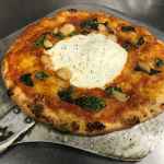 Roma Italian Restaurant menu in Dover, Delaware, USA