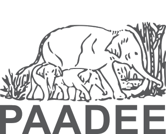 Menu for Paadee in Portland, OR | Sirved