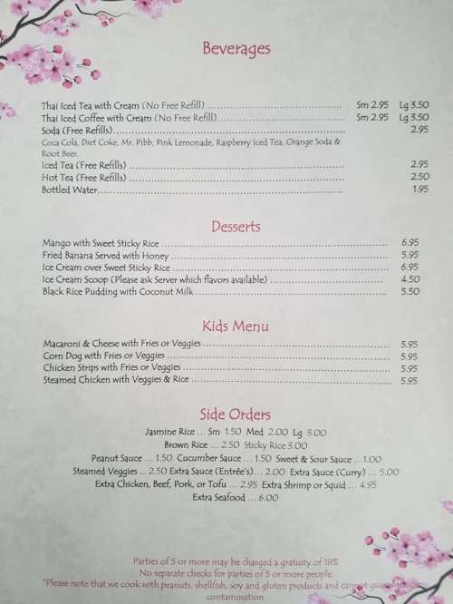 Thai Rama Chandler menu in Chandler, Arizona, USA