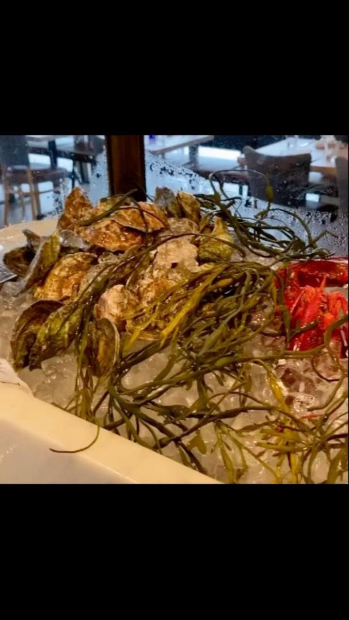 Shell & Bones Oyster Bar & Grill menus in New Haven, Connecticut ...